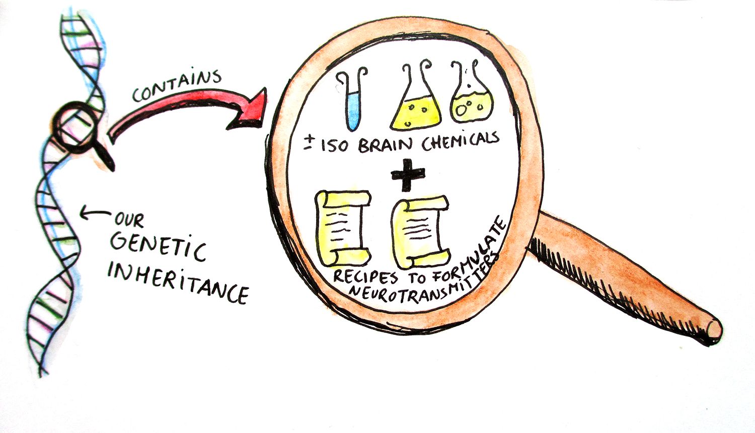 The introvert brain explained - Magical Daydream